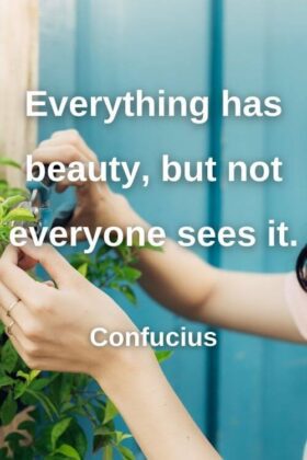 120 Famous Inner Beauty Quotes to See Life Differently - getchip